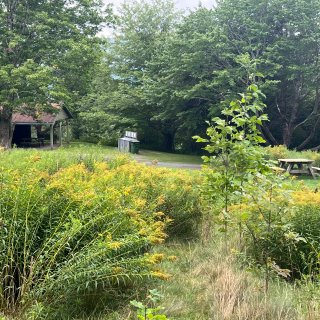 Whycocomagh Provincial Park - Whycocomagh, Nova Scotia - RV LIFE ...